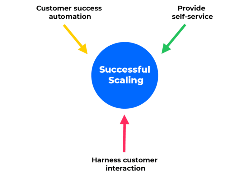 The key to successful scaling: Inside the minds of 30 CSM leaders ...